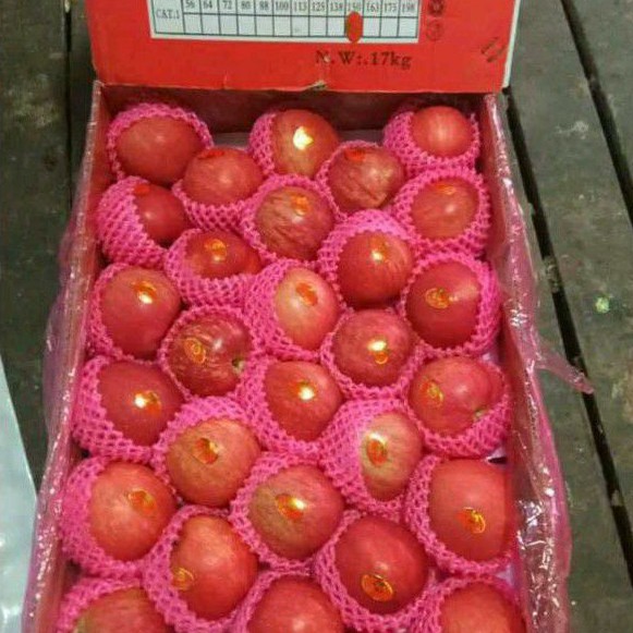 Jual BUAH APEL FUJI RRC PER 1 DUS | Shopee Indonesia