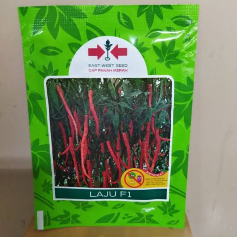 Jual Benih cabe kriting LAJU F1 isi 1750 butir exp 2024 | Shopee Indonesia