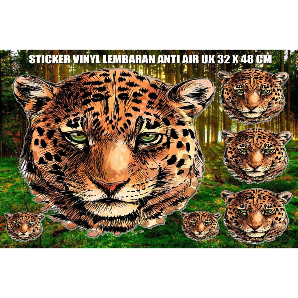 Jual Stiker Vinyl sudah di Cutting Lembaran Uk 32 x 48 cm Motiv kepala ...
