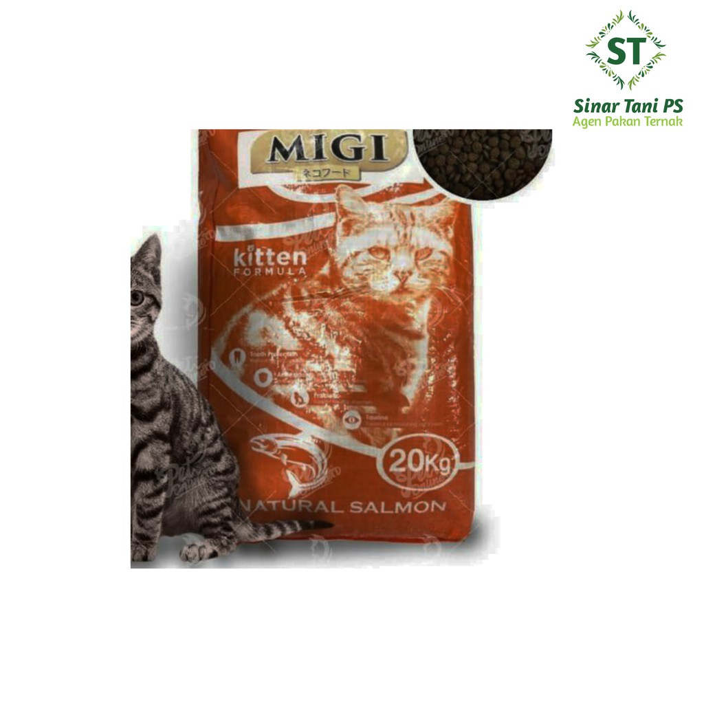 Jual Sato Cat Kitten Food Pakan Makanan Kucing & Kitte Salmon 20kg ...