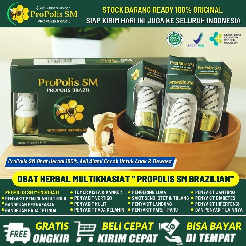 Jual Khasiat & Manfaat Propolis SM Brazilian 100% Original - Walatra ...