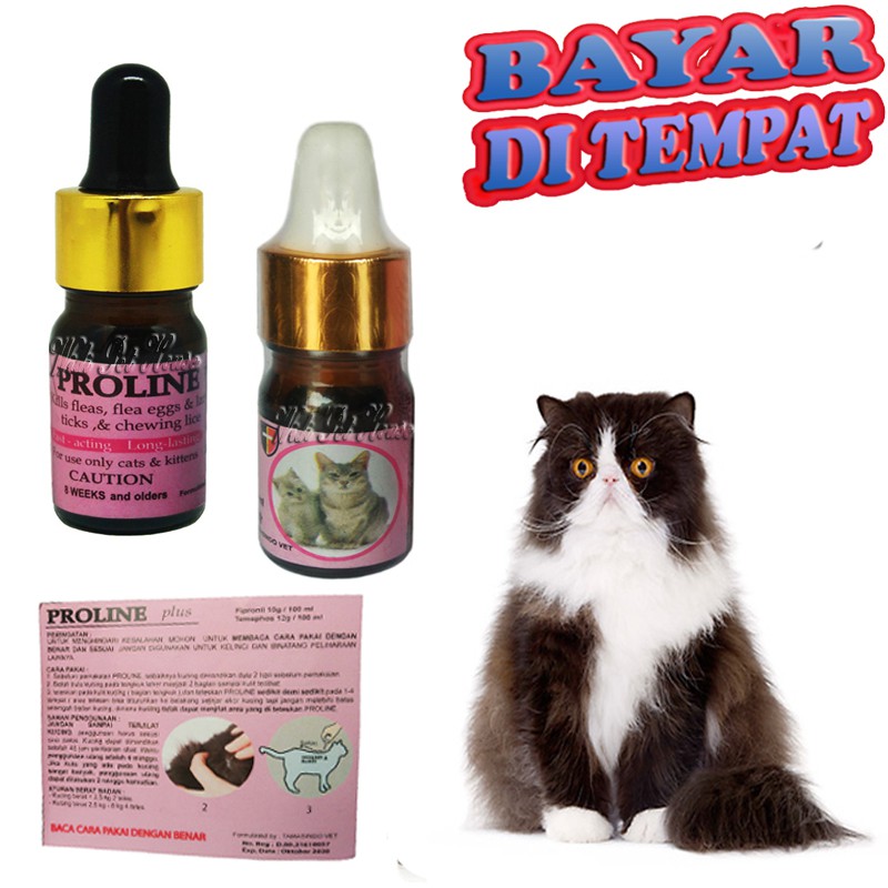 Jual OBAT KUTU KUCING PROLINE CAT TETES PENGHILANG PARASIT CAPLAX ...