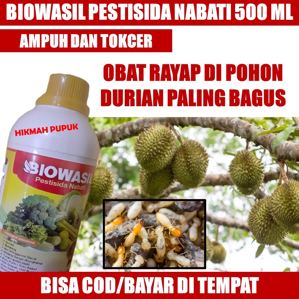 Jual PUPUK AJAIB BIOWASIL ISI 500 ML Obat Pembasmi Hama Rayap Tanah ...