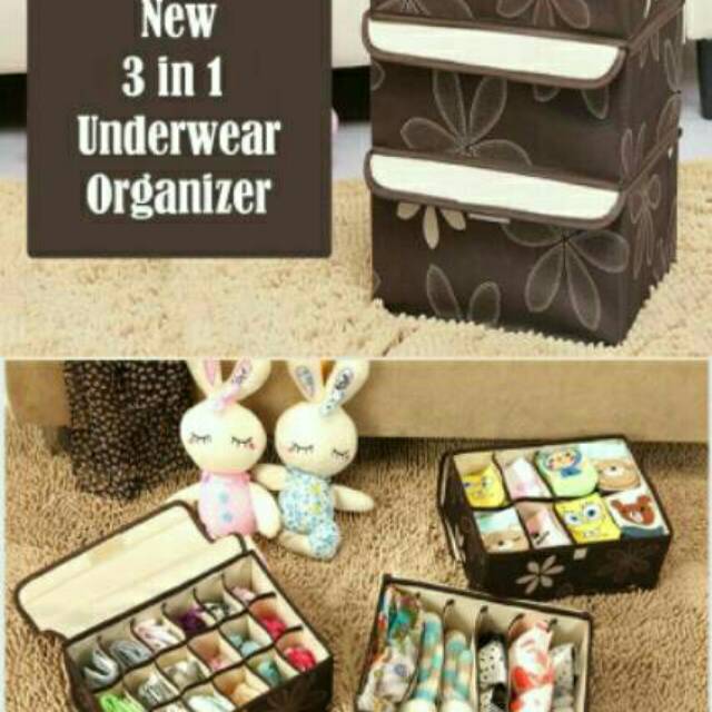Jual Organizer 3 in 1 Motif Tempat Simpan Bra dan CD / Organizer Set ...