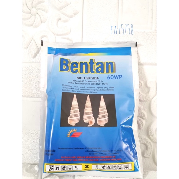 Jual BENTAN BIRU 60 WP 100 gram | Shopee Indonesia