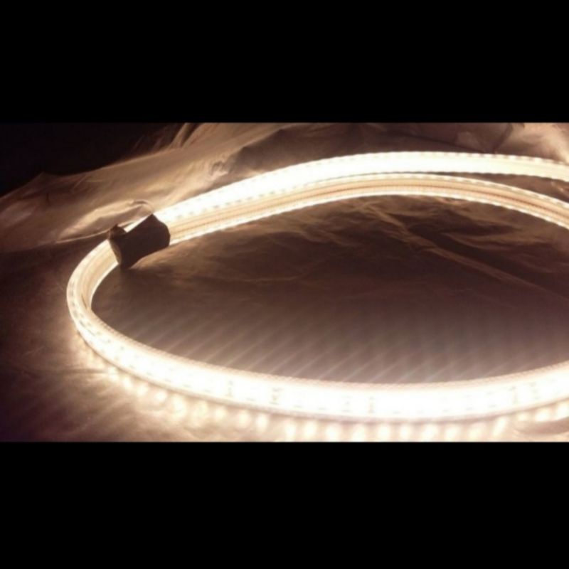 Jual Lampu Led Strip Selang Rope Light Strip Mata Rapat /meter 1 meter ...