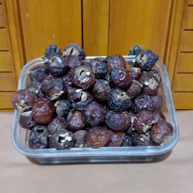 Jual BUAH LERAK TANPA BIJI - SEEDLESS - SOAP NUT SHELLS - 1000 GRAM - 1 ...