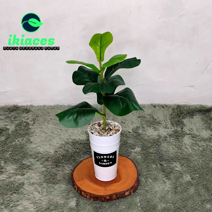 Jual POHON ARTIFISIAL POHON KETAPANG MINI PLASTIK DAUN KETAPANG PLASTIK ...