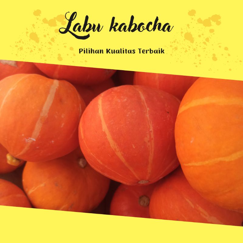 Jual LABU KABOCHA ORANGE / LABU KUNING / LABU Jepang COMBUCHA berat 800 ...
