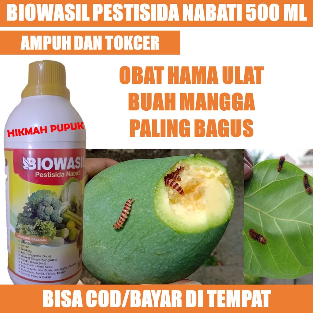 Jual (MURAH) BIOWASIL OBAT PEMBASMI HAMA ULAT BUAH MANGGA, KUBIS, JAMBU ...
