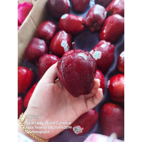 Jual COD 1 KG ANEKA BUAH BUAHAN SEGAR IMPORT DAN LOKAL MANGGA MADU ...