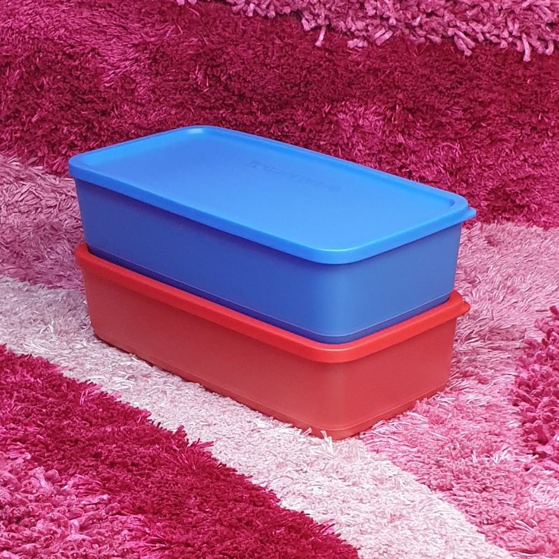 Jual Rectangular Summer Fresh Tupperware Per Pcs ( Pak n Stor ...