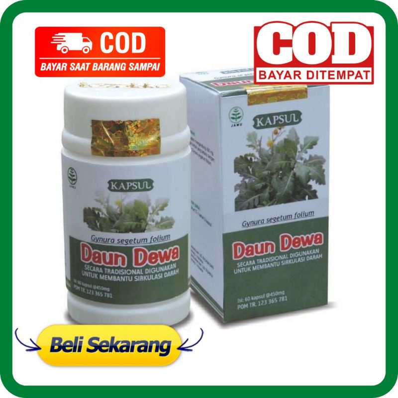 Jual DAUN DEWA Tazakka Isi 60 - Obat Herbal Asam Urat Sirkulasi Darah ...