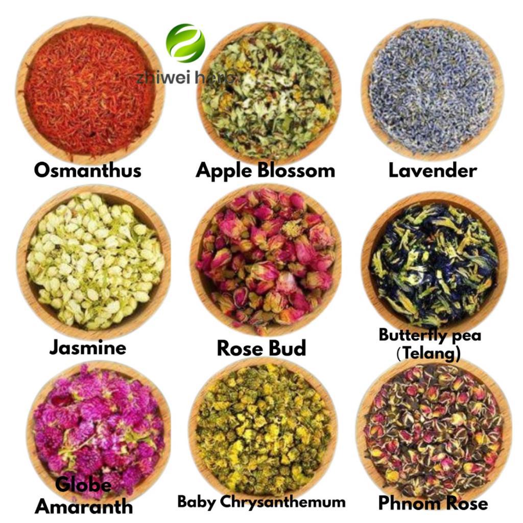 Jual TEH BUNGA Kemasan EKONOMIS /FLOWER TEA SERIES 10GRAM T- Chamomile ...