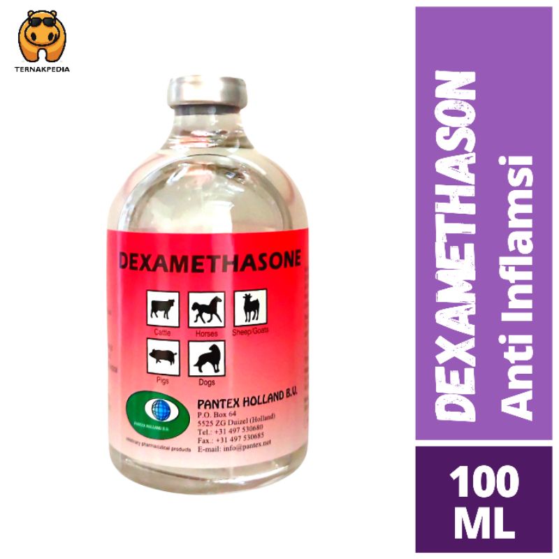 Jual Dexametason injeksi 100ml - Obat Anti Inflamasi - dexa 100ml ...