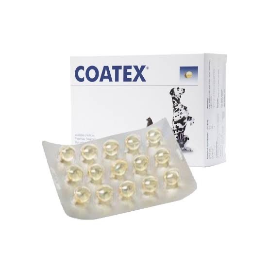 Jual Coatex Suplemen Skin Coat Dog & Cat (1Butir) - Vitamin Penumbuh ...