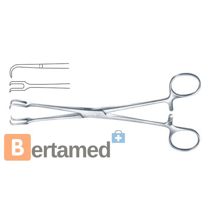 Jual Schroeder VULLSELLUM Forcep 2 x 2 Teeth / Uterine Tenaculum ...