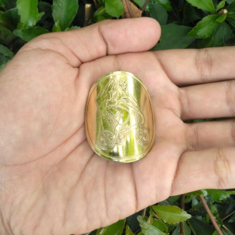 Jual Emblem Sepeda Lipat Fnhon Fullgold Custom | Shopee Indonesia