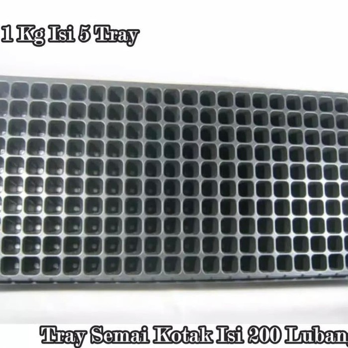 Jual Terbaik Tray Pot 200 Lubang - Tray Pot Semai Benih - Tray Semai ...