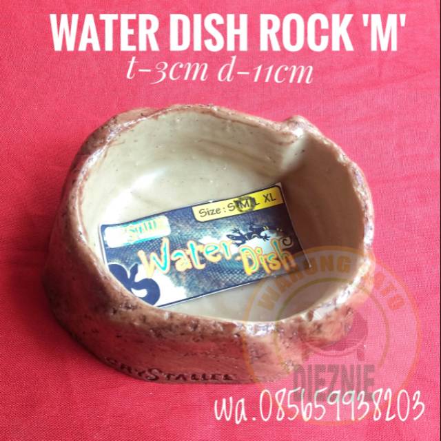 Jual Water dish rock M | Shopee Indonesia
