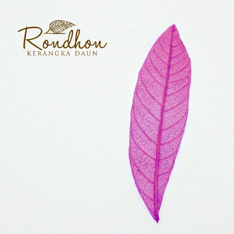 Jual DAUN KELENGKENG/KERANGKA DAUN/TULANG DAUN/SKELETON LEAF | Shopee ... Jual DAUN KELENGKENG/KERANGKA DAUN/TULANG DAUN/SKELETON LEAF | Shopee ...