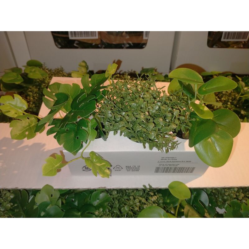 Jual Tanaman pot palsu dg pot, (daun rumbai isi 3), dalam/luar ruang ...