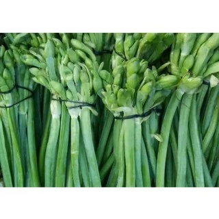 Jual Sayur Genjer Terlengkap & Harga Terbaru Desember 2024 | Shopee ...