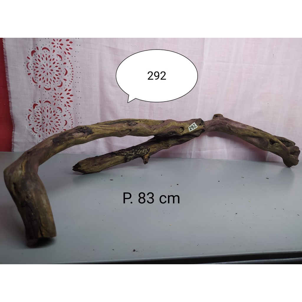 Jual Kayu Santigi Laut / Sentigi Laut Tenggelam Aquascape Aquarium atau ...