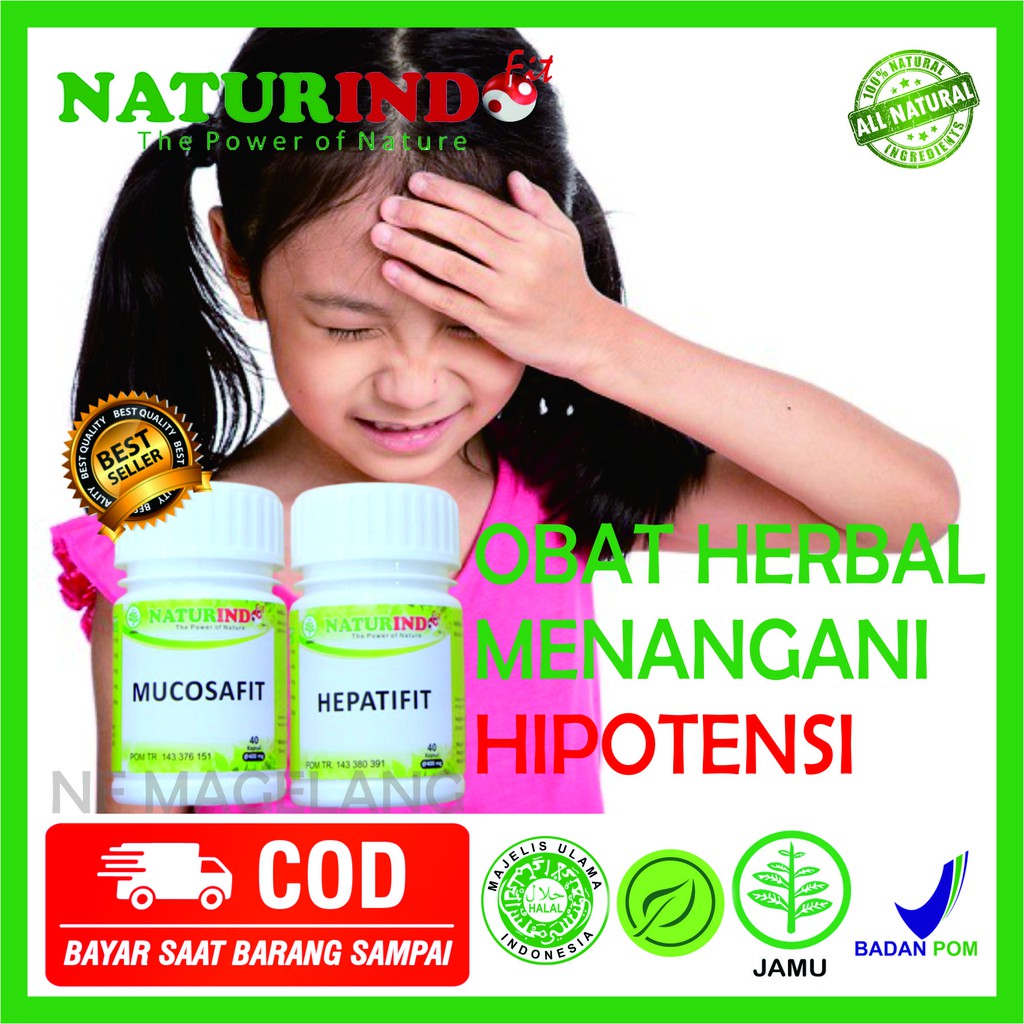 Jual Obat Herbal kekurangan sel darah merah kaki lemas tak bertenaga ...