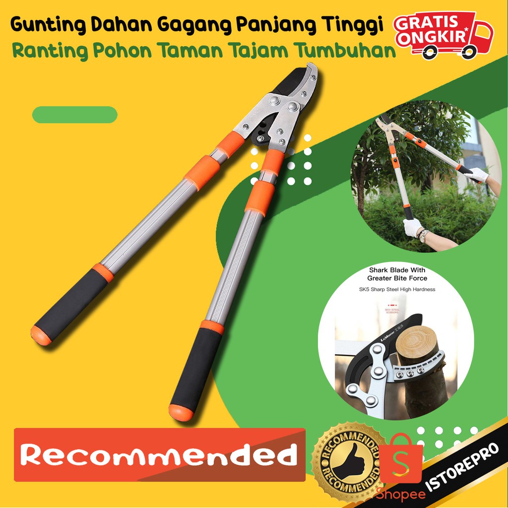 Jual Gunting Dahan Gagang Panjang Tinggi Ranting Pohon Taman Tajam Tumbuhan | Shopee Indonesia