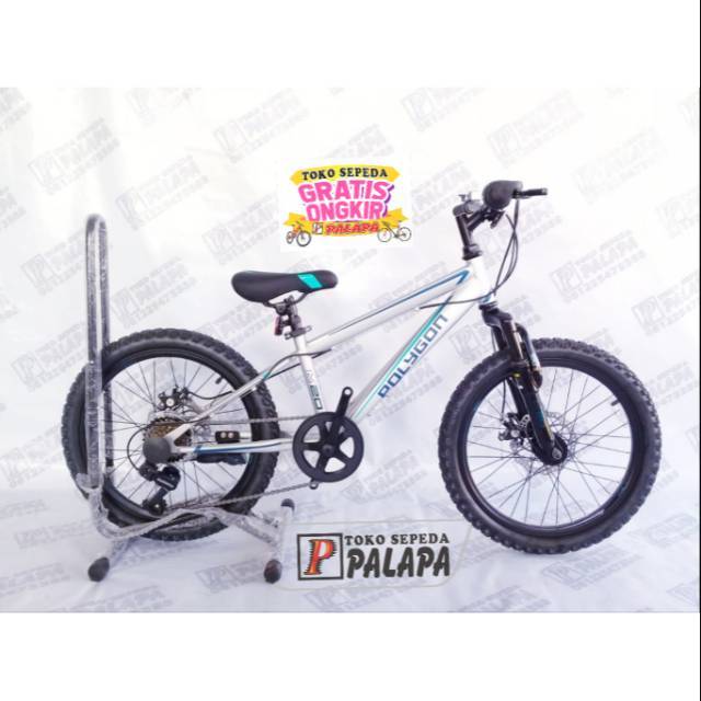 Jual SEPEDA ANAK MTB 20 POLYGON MAZE M20 BMX | Shopee Indonesia