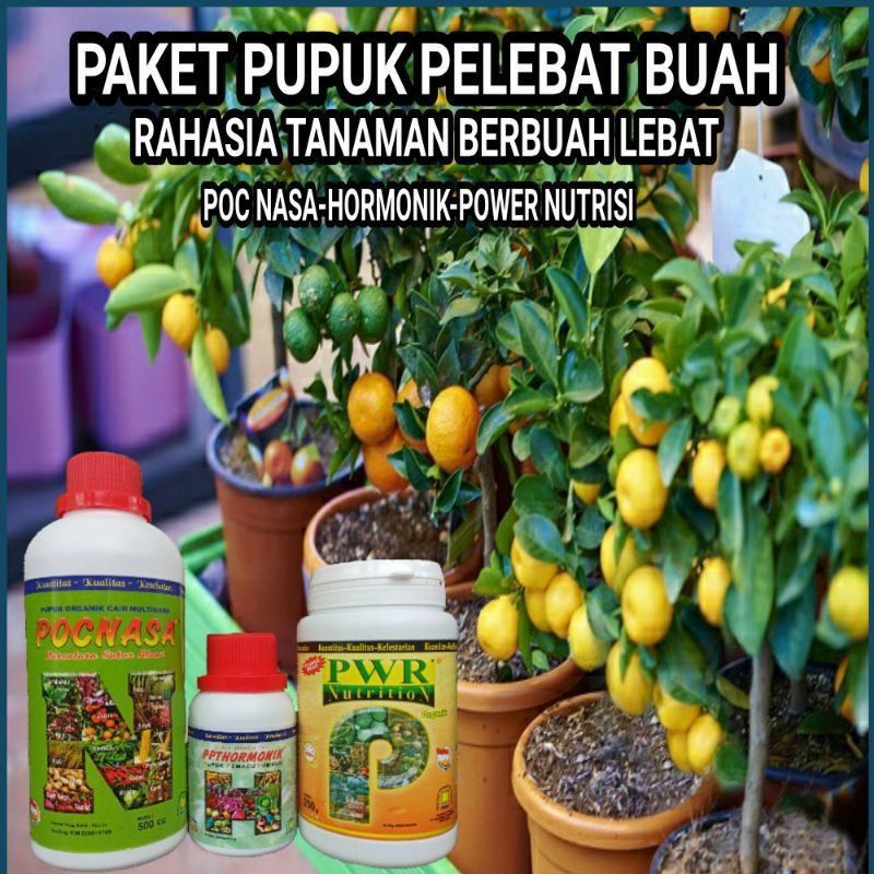 Jual pupuk pelebat buah tabulampot paket pupuk khusus buah mengurangi kerontokan bunga dan buah ...