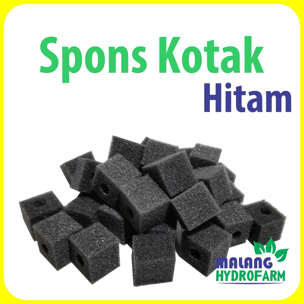Jual Media Tanam Spons Kotak Hitam 2,5 x 2,5 x 2,5 cm cubs kubus siap ...
