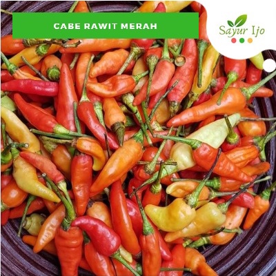 Jual Cabe Rawit Merah 250 Gram Fresh Cabai Red Chili Sayur Hijau Sambal ...