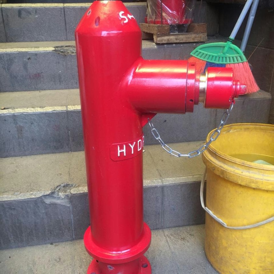 Cara Pemasangan Hydrant Pillar Yang Benar Sesuai Standar, 60% OFF