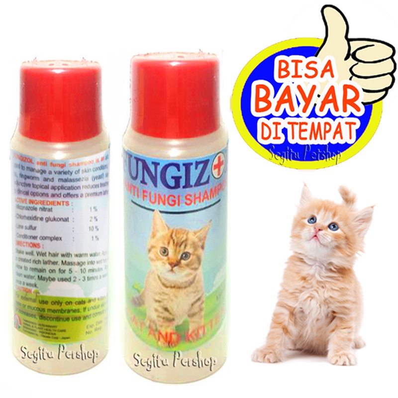 Jual SHAMPO KUCING ANTI JAMUR SAMPO KITTEN SCABIES FUNGIZOL | Shopee ...