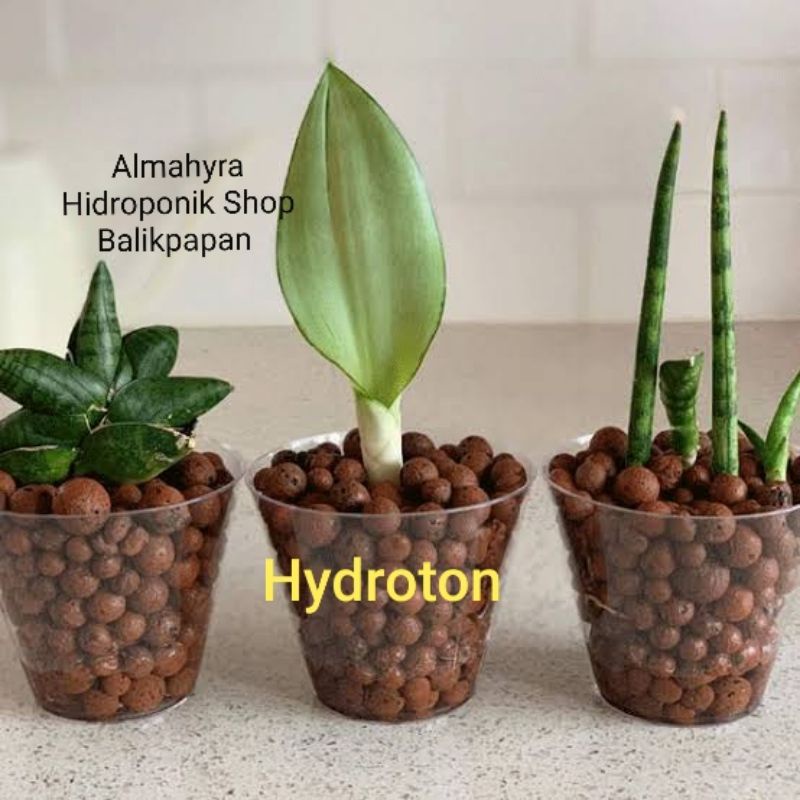 Jual Hidroton Hydroton Import Germany Media Tanam,1 bks =1 liter -+ 500 ...