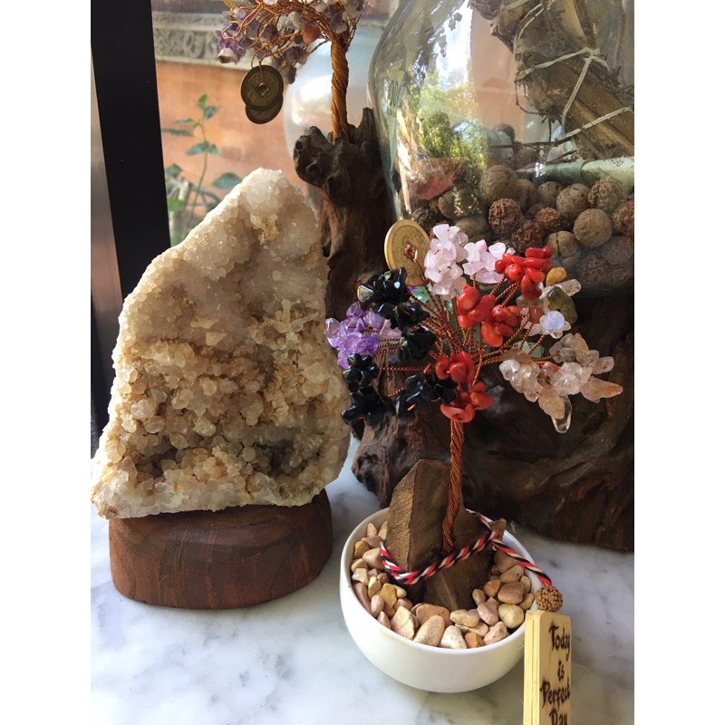 Jual Pohon Rejeki/Pohon Kristal | Shopee Indonesia