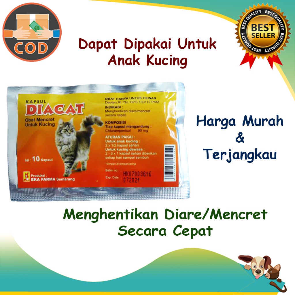 Jual Obat Mencret Diare Kucing / Ekafarma Diacat 10 Kapsul - Mencret ... Jual Obat Mencret Diare Kucing / Ekafarma Diacat 10 Kapsul - Mencret ...