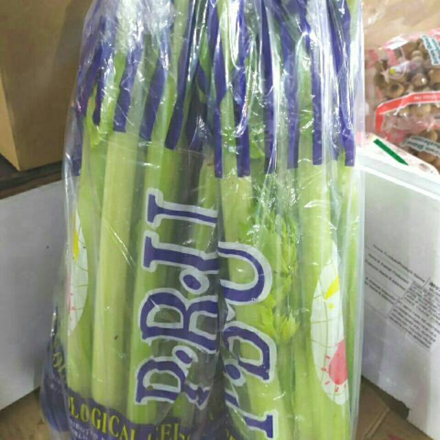 Jual Seledri/celery stik 500gram | Shopee Indonesia