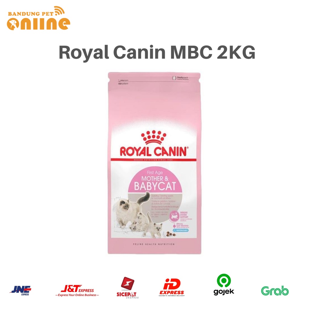 Jual Royal Canin RC Mother & Baby Cat 2kg Makanan Kucing Dry Food 2 kg ...