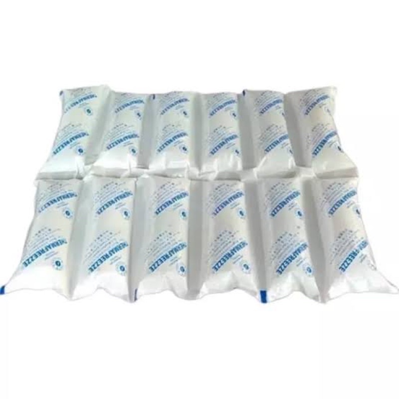 Jual Ice gel / Ice pack mini (harga utk 2pcs) | Shopee Indonesia