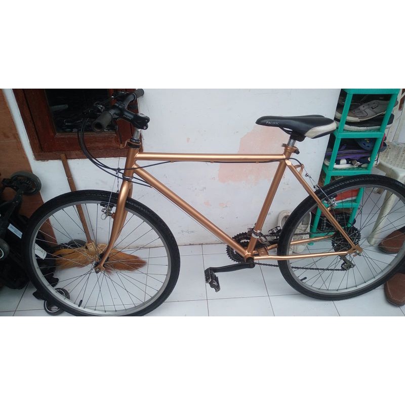 Jual sepeda unik | Shopee Indonesia