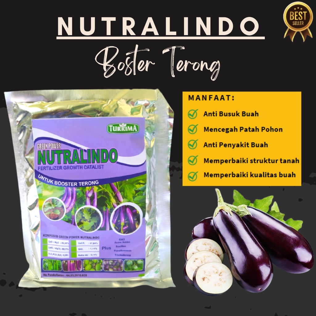 Jual Pupuk terong berbuah lebat, Booster Untuk Penyakit Pohon Terong ...