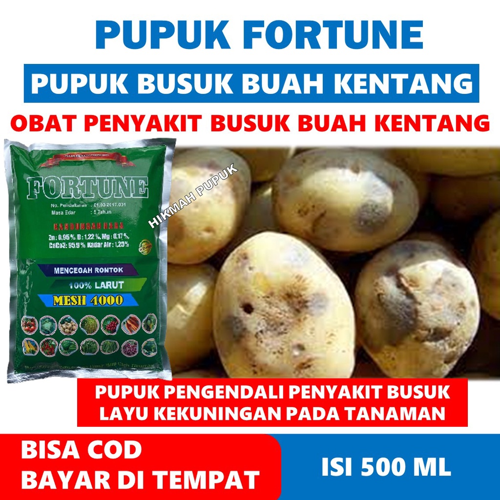Jual (PROMO COD) FORTUNE isi 1KG Obat Busuk Buah Pada Kentang - Obat ...