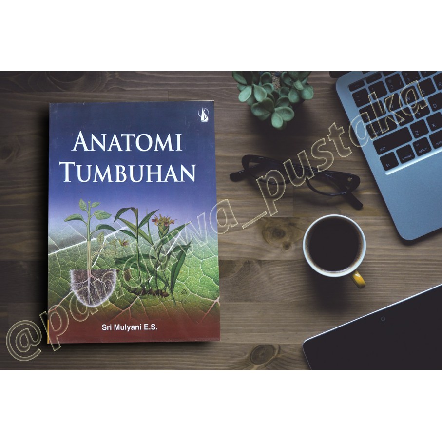 Jual Antonomi Tumbuhan | Shopee Indonesia