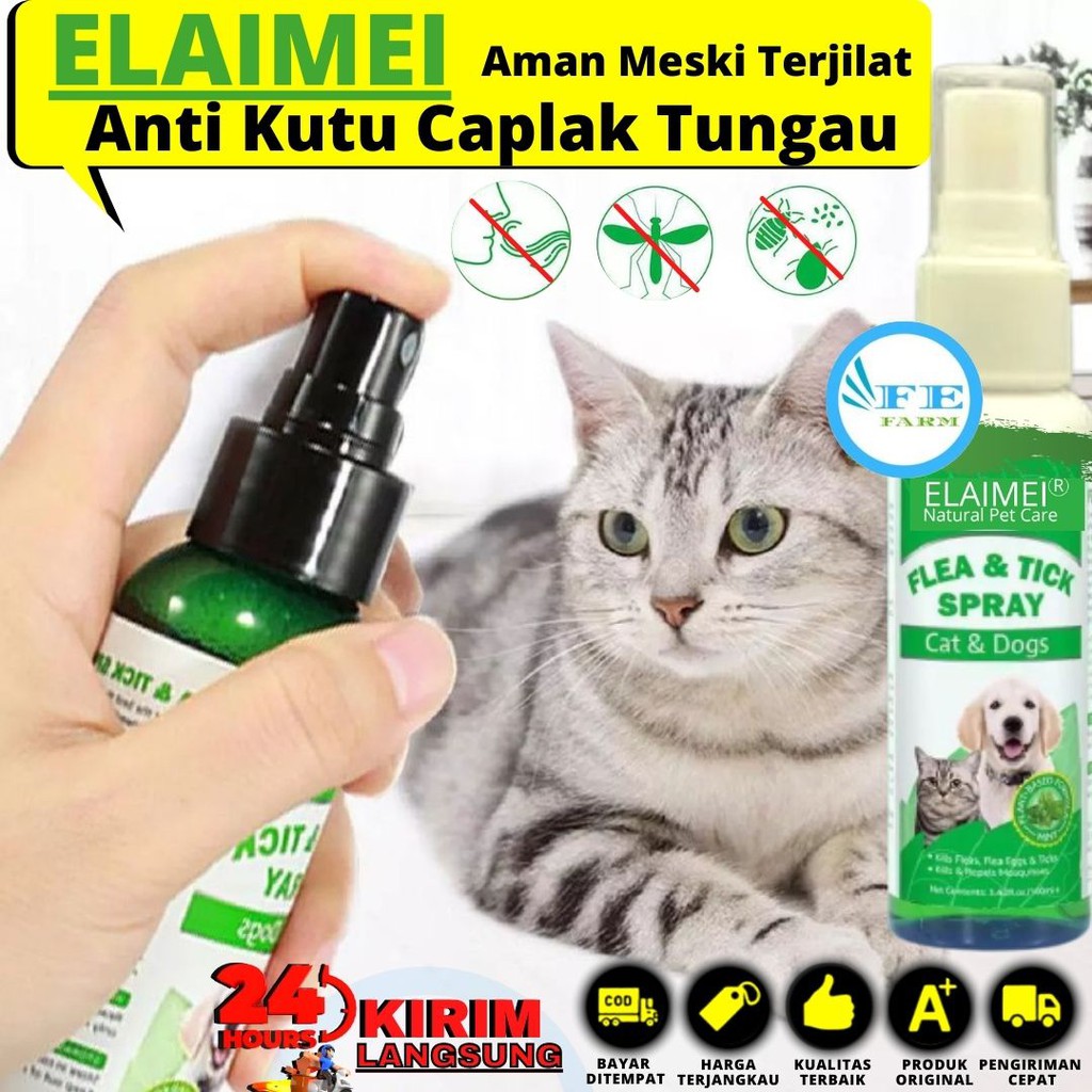 Jual Obat Kutu Kucing Anjing Semprot Spray Ampuh Herbal Aman Terjilat ...