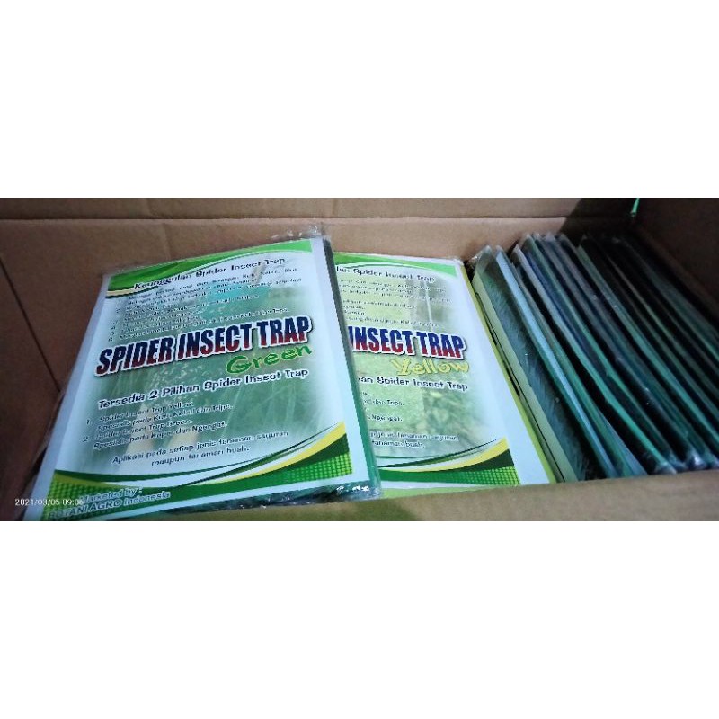 Jual Spider insek trap isi 100 lembar ampuh atasi kutu kutuan | Shopee ...