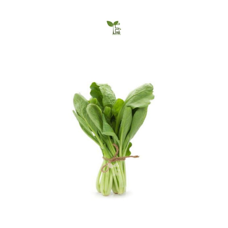 Jual sayur sawi hijau / caisim / sosin 1 ikat | Shopee Indonesia