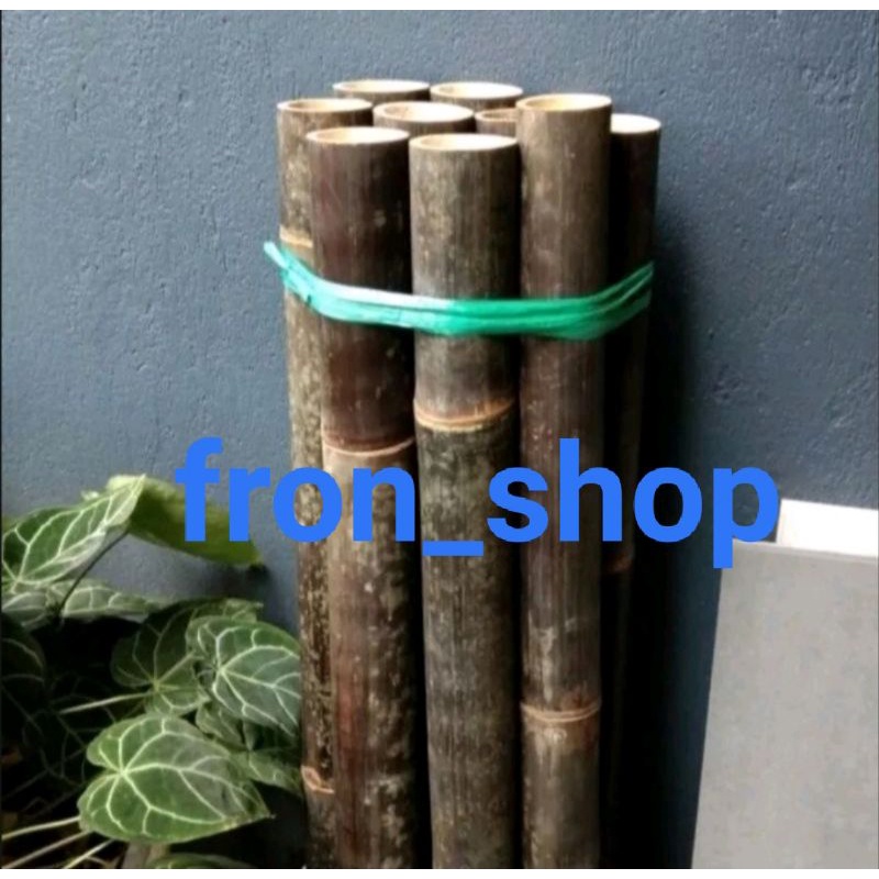 Jual BAMBU HITAM | BAMBU WULUNG 50CM | Shopee Indonesia